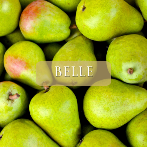 Fragrances – Bourbon Royalty